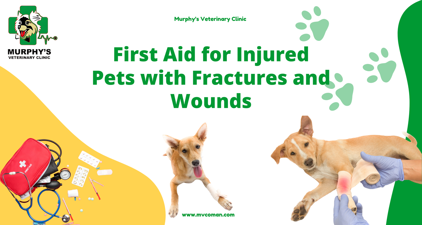 First Aid for Injured Pets with Fractures and Wounds - MURPHYS ...
