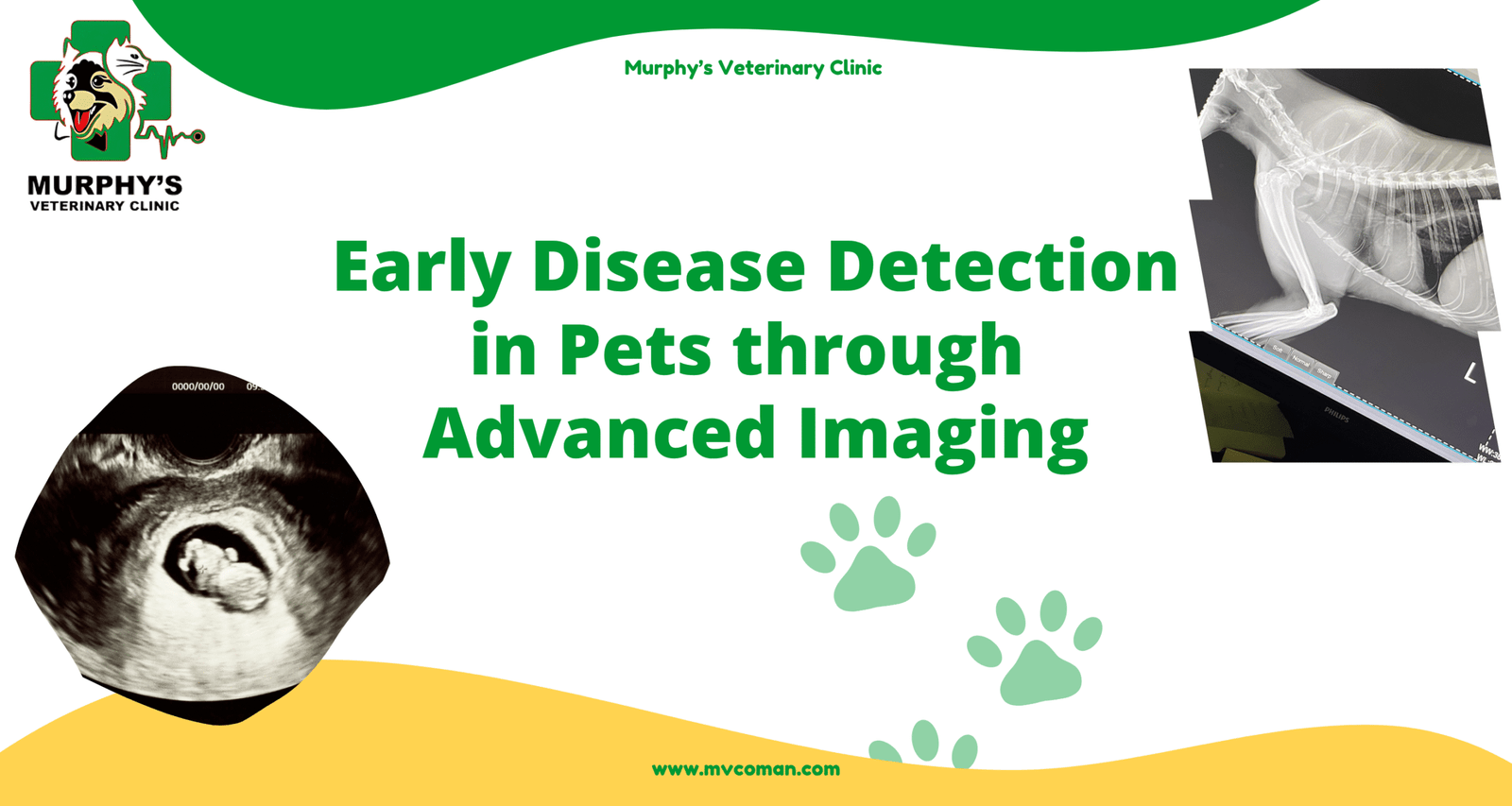 Early Disease Detection in Pets through Advanced Imaging - MURPHYS ...