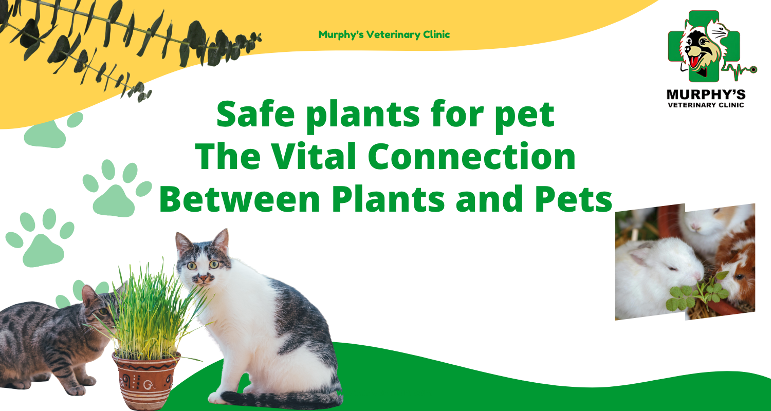 Safe plants for pet : The Vital Connection Between Plants and Pets ...