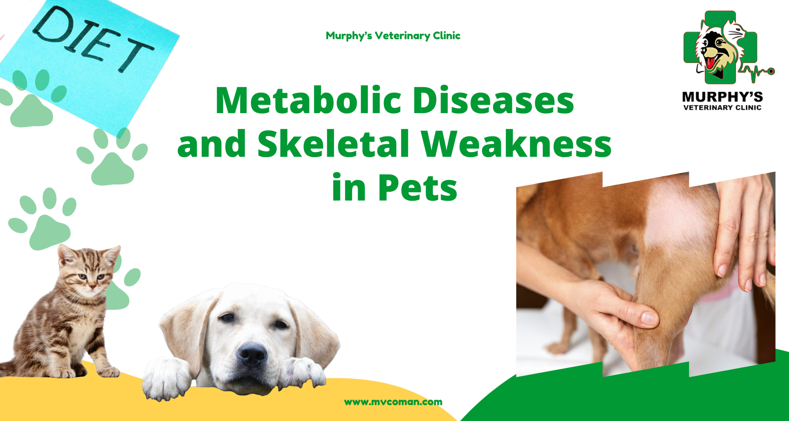 Metabolic Diseases and Skeletal Weakness in Pets - MURPHYS Veterinary ...
