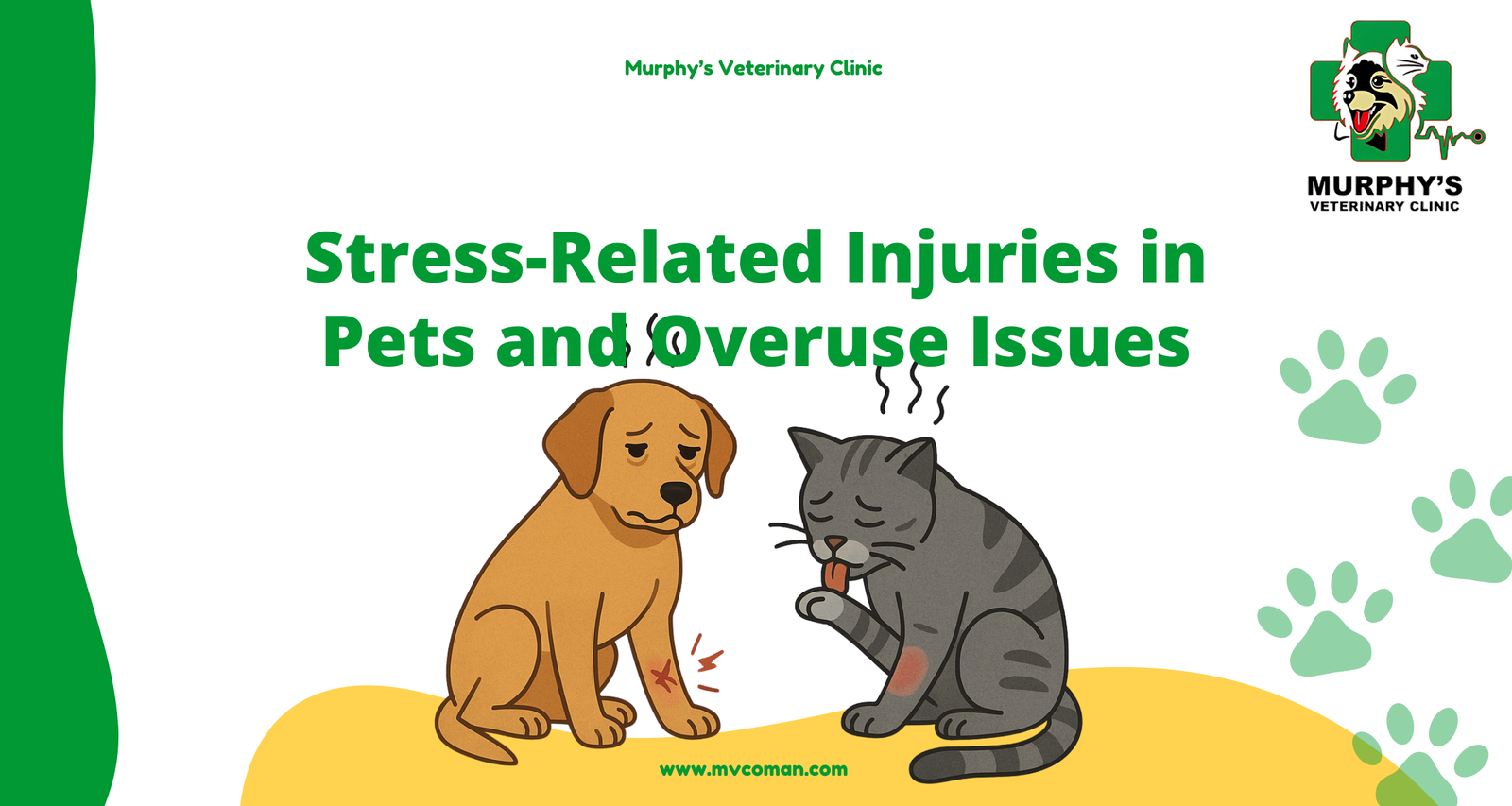 Stress-Related Injuries in Pets and Overuse Issues - MURPHYS Veterinary ...
