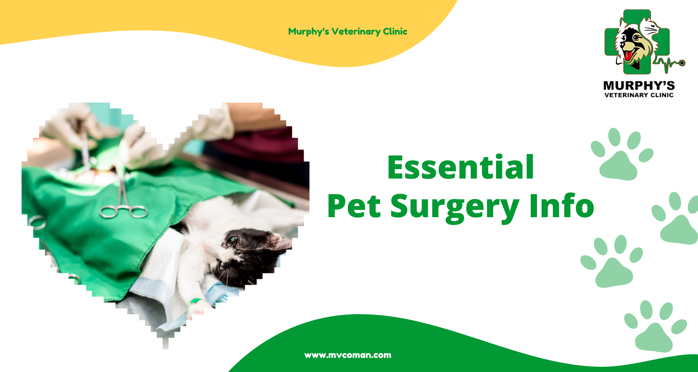 Essential Pet Surgery Info - MURPHYS Veterinary Clinic