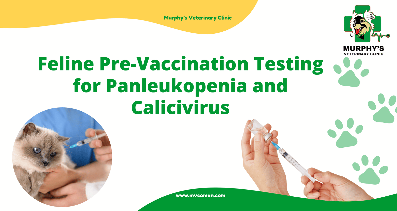 Feline Pre-Vaccination Testing for Panleukopenia and Calicivirus ...