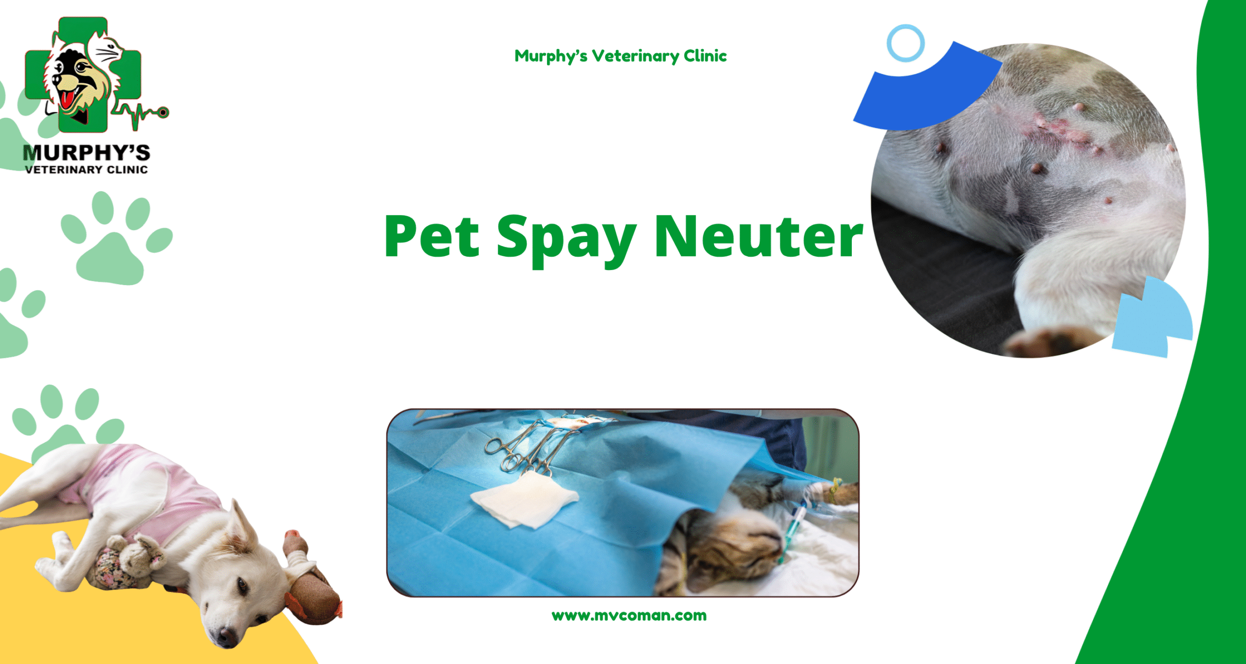 Pet Spay Neuter - MURPHYS Veterinary Clinic