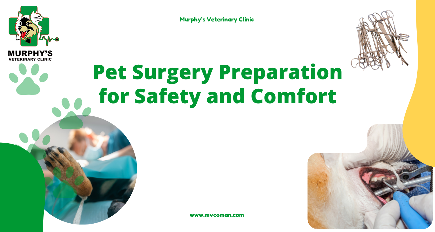 Pet Surgery Preparation for Safety and Comfort - MURPHYS Veterinary Clinic