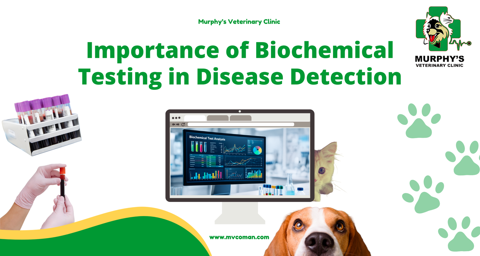 Importance of Biochemical Testing in Disease Detection - MURPHYS ...