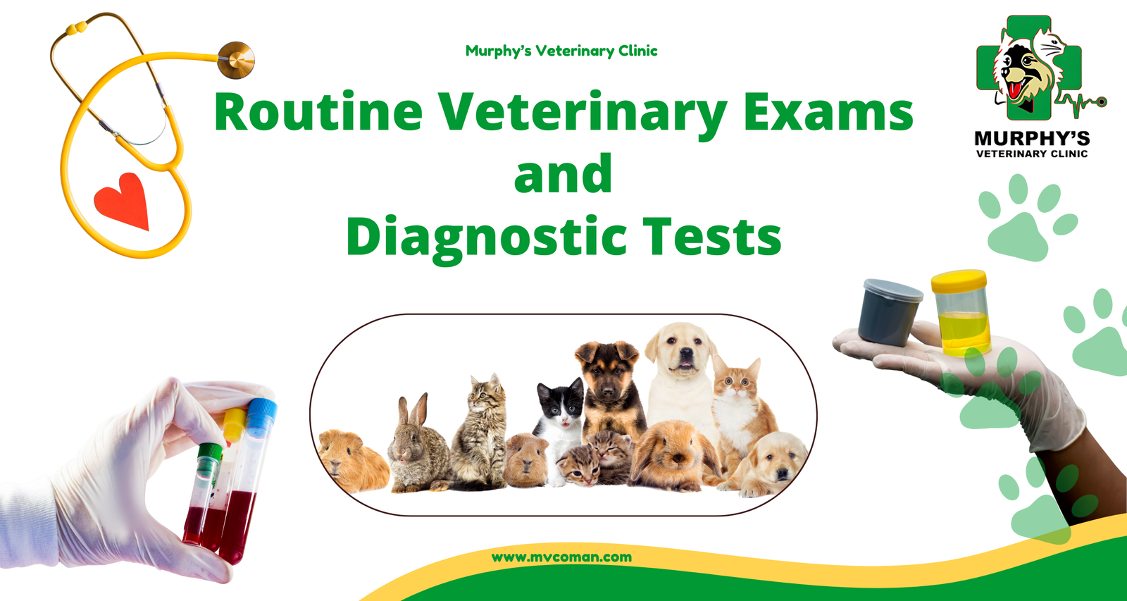 Routine Veterinary Exams and Diagnostic Tests - MURPHYS Veterinary Clinic