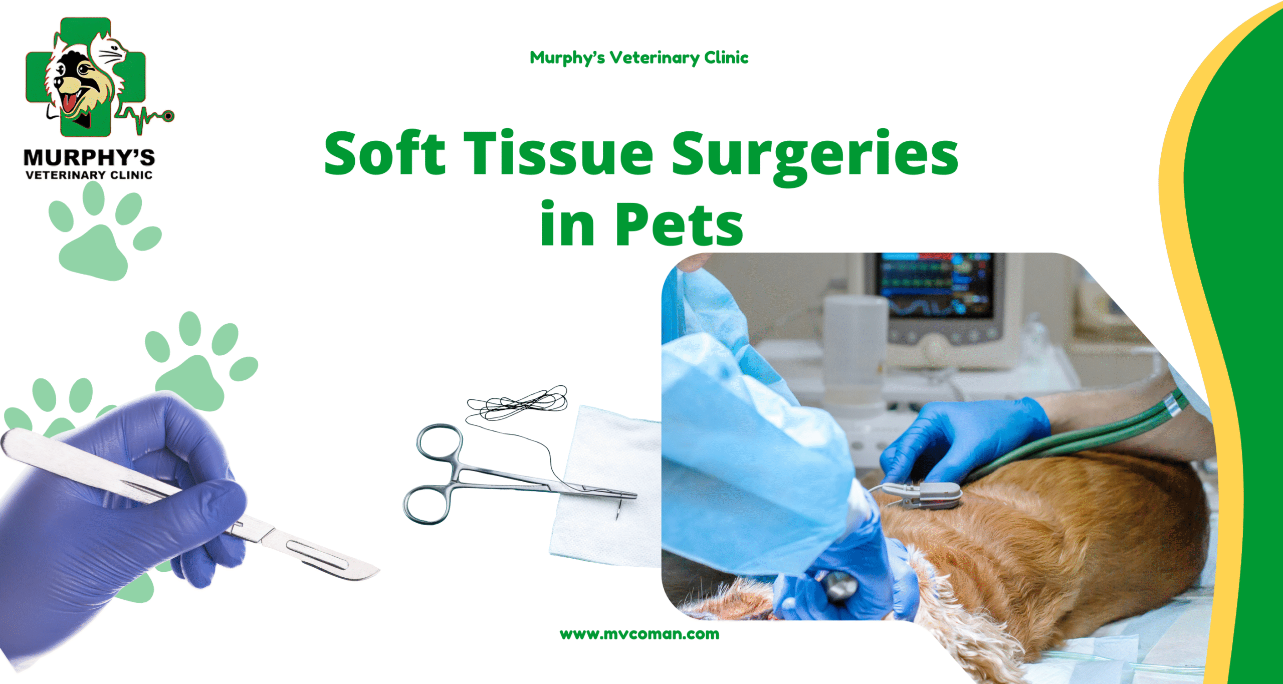 Soft Tissue Surgeries in Pets - MURPHYS Veterinary Clinic