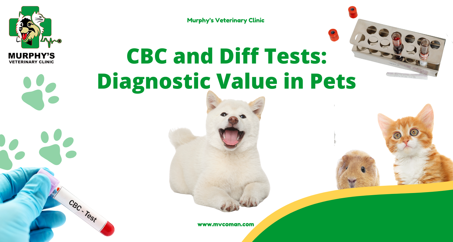 CBC and Diff Tests: Diagnostic Value in Pets - MURPHYS Veterinary Clinic